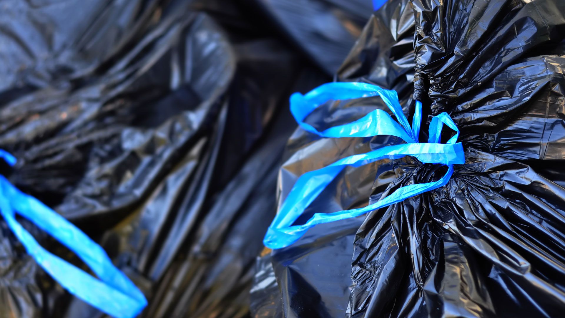 Best trash compactors: save space in your garbage can | Top Ten Reviews