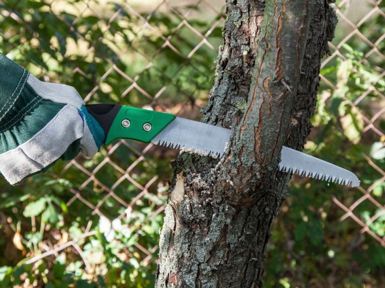 What Are Pruning Saws Used For: Tips On Using A Pruning Saw | Gardening ...