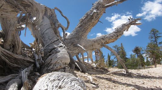 Free photo reference pack to download today | Creative Bloq