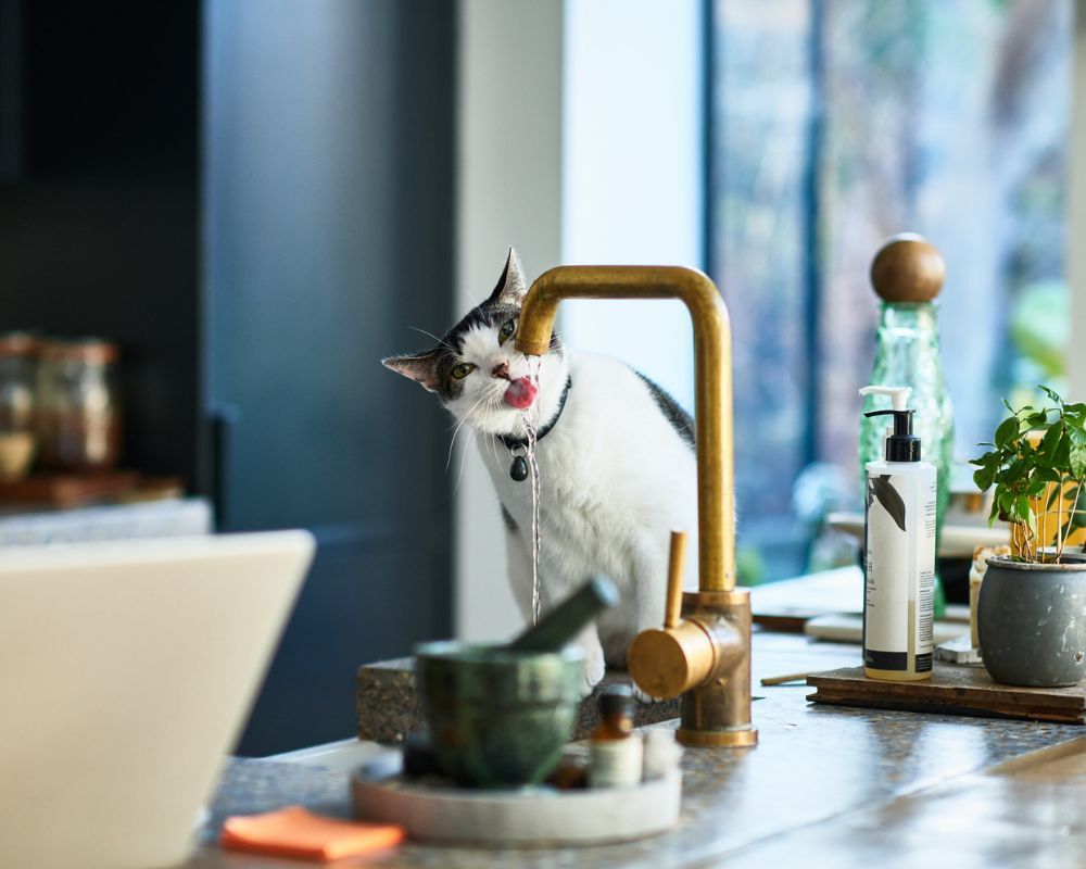 How to get your home emergency-ready, according to the pros | Homes and ...