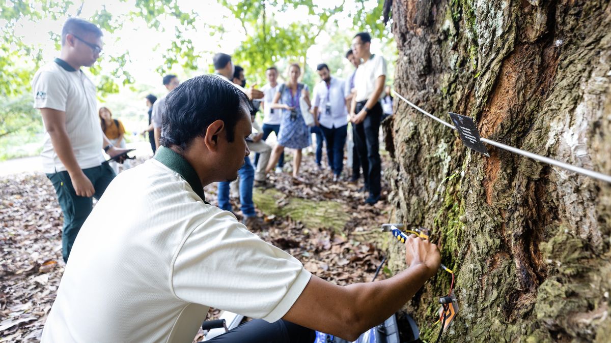 Inside Singapore’s mission to infuse itself with technology | ITPro