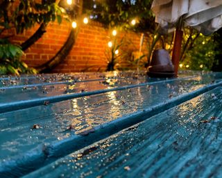The Best Guide to Solar Garden Lighting You'll Ever Read | Gardening ...