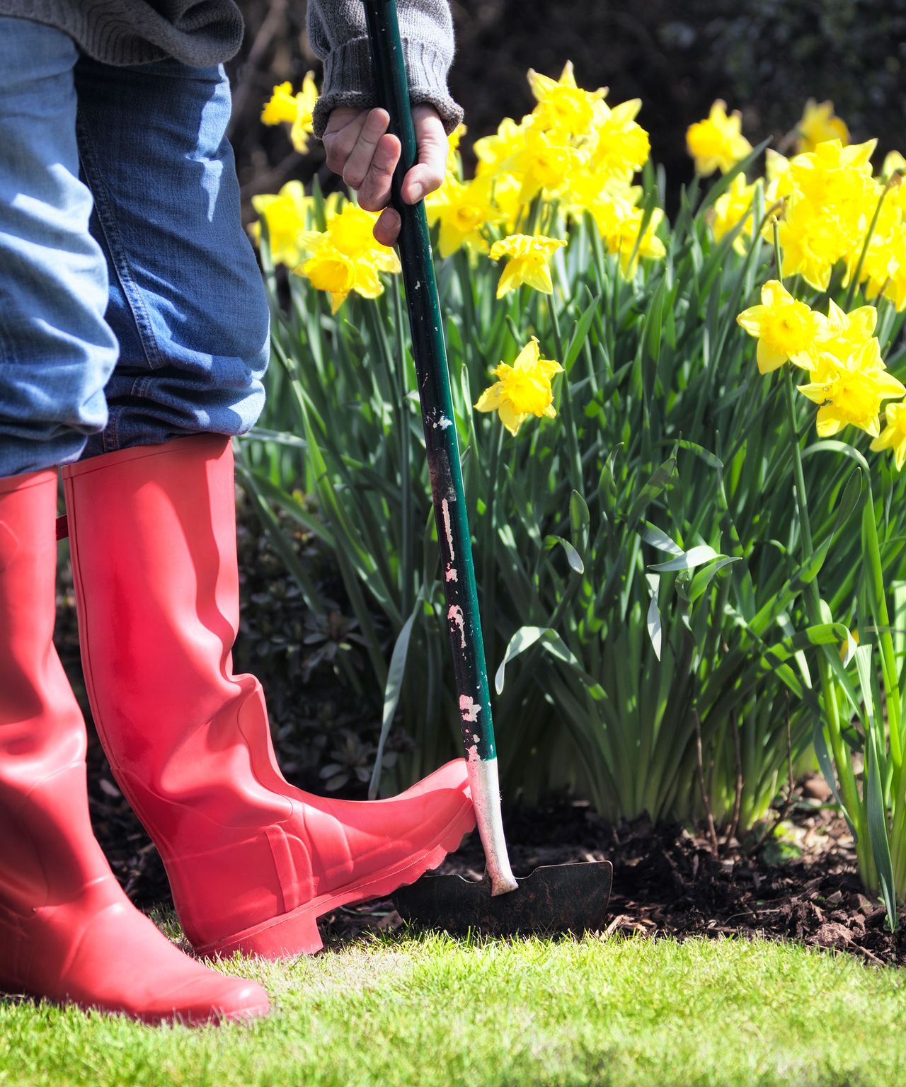 How to edge a lawn for a professional finish | Homes and Gardens