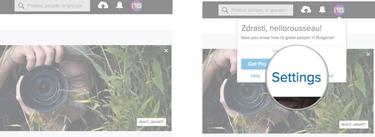 How to download all your Flickr photos and delete your account | iMore