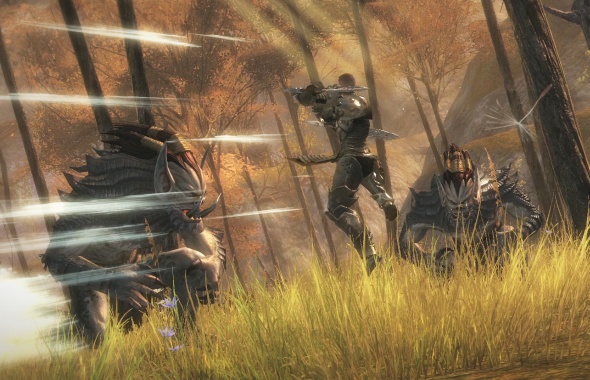 Guild Wars 2 devs talk Warrior and Traits | PC Gamer