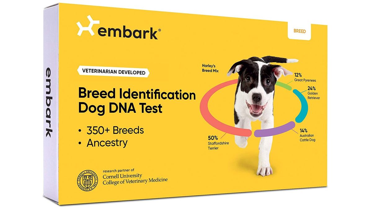 Best dog DNA test: 6 options to help discover who your dog really is ...