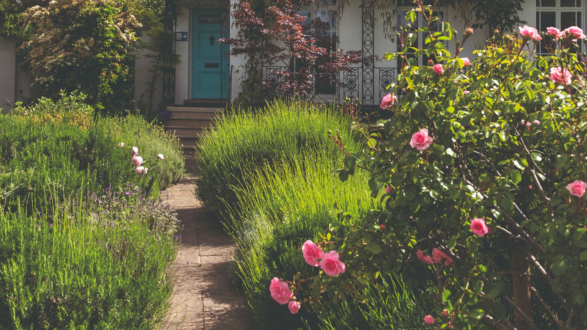 When to plant roses – the best times for beautiful blooms | Ideal Home