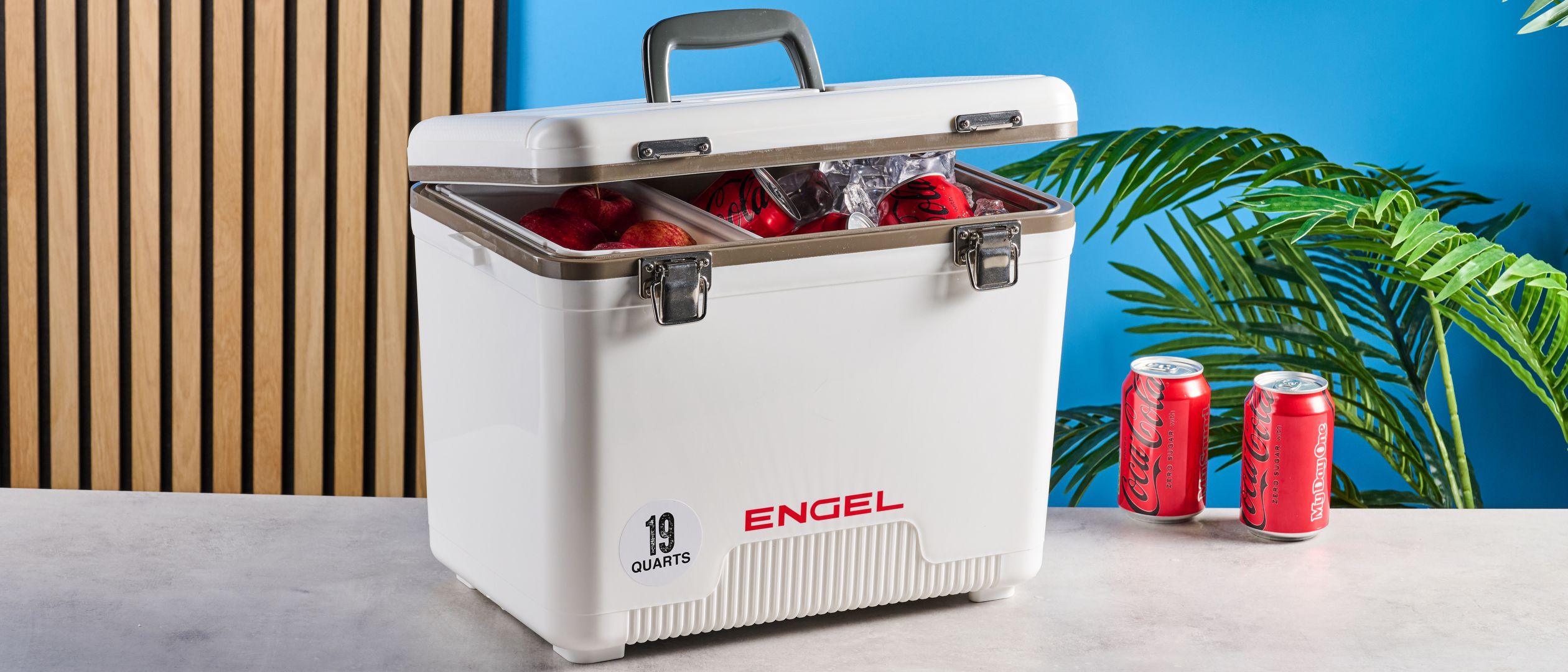 Engel Cooler review: Made for the beach | Tom's Guide