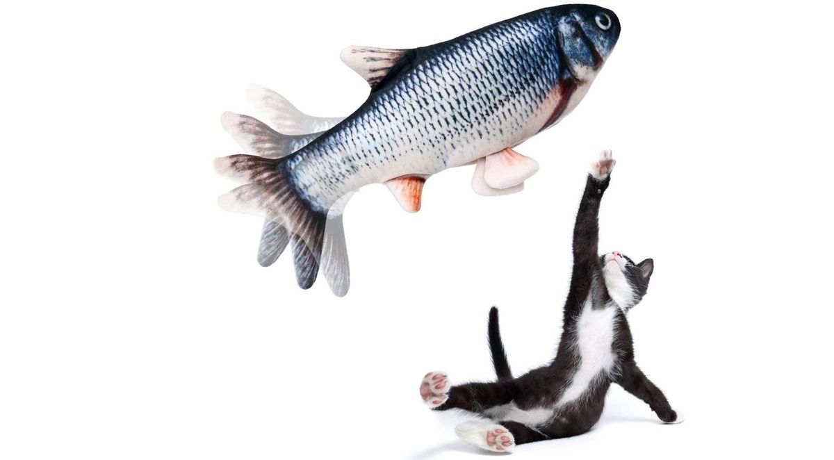 Best fish cat toys: Keep your feline happy, fit and amused | PetsRadar