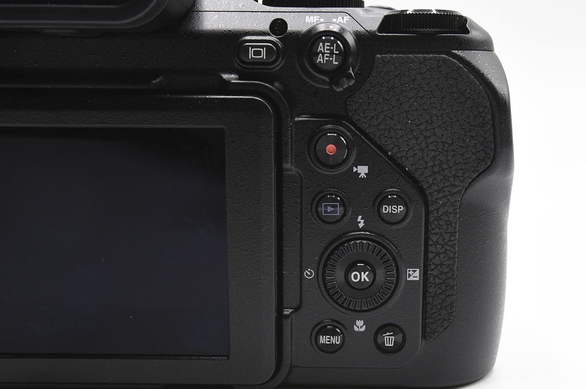 Nikon Coolpix P1000 Review: This 125x Superzoom Shoots the Moon | Tom's ...