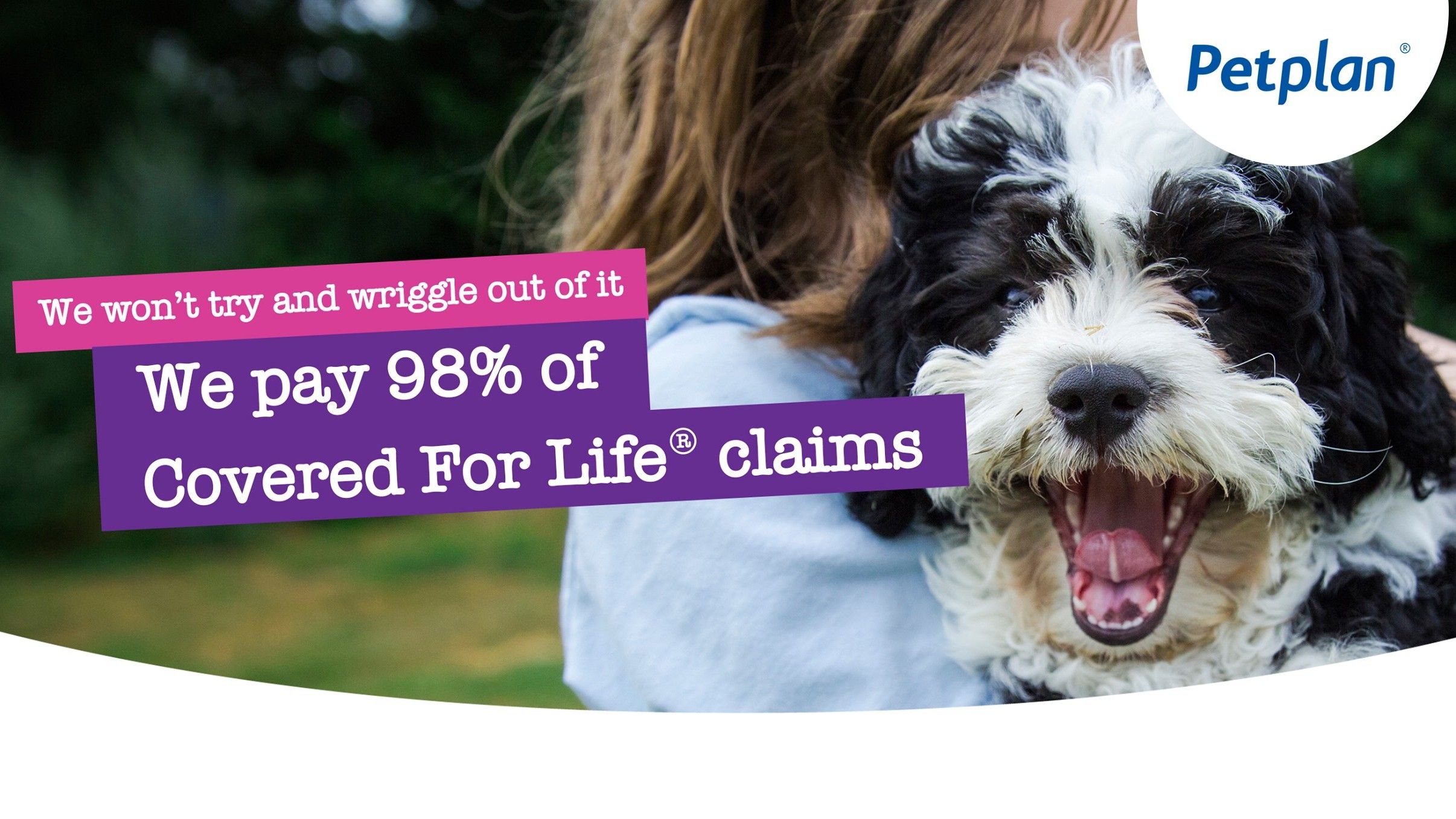 PetPlan Multi-Pet Insurance review | PetsRadar