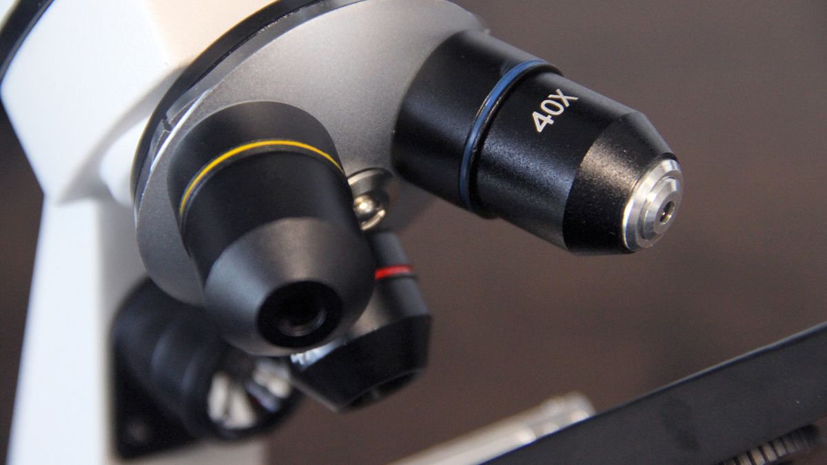 Bresser Biolux NV 20-1280x microscope review | Digital Camera World