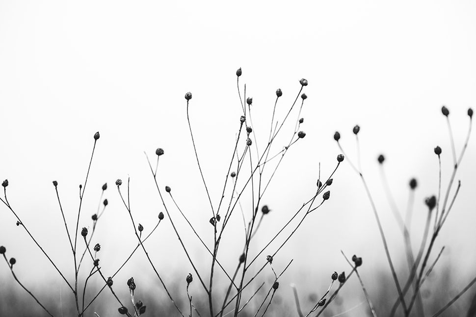 24 creative photography projects for 2024 | Digital Camera World