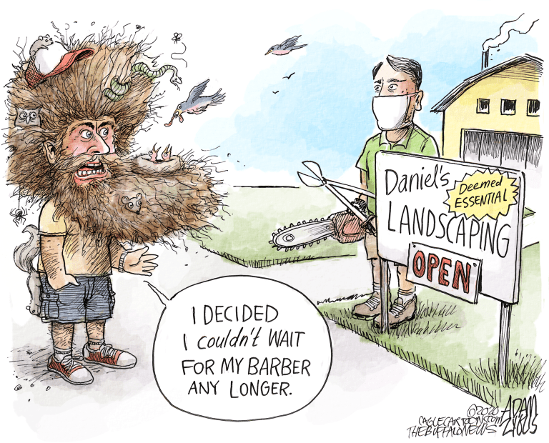 Editorial Cartoon U.S. coronavirus quarantine salons landscaping | The Week