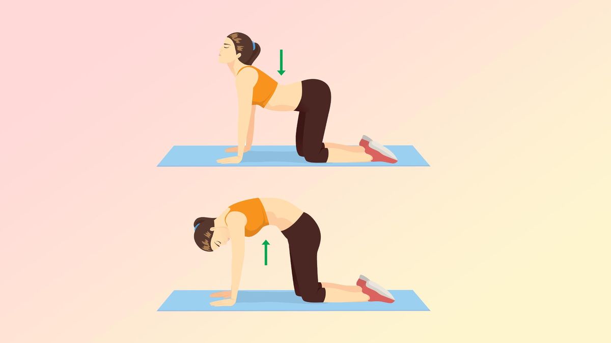 How to do the cat-cow stretch — great for relieving lower-back pain ...