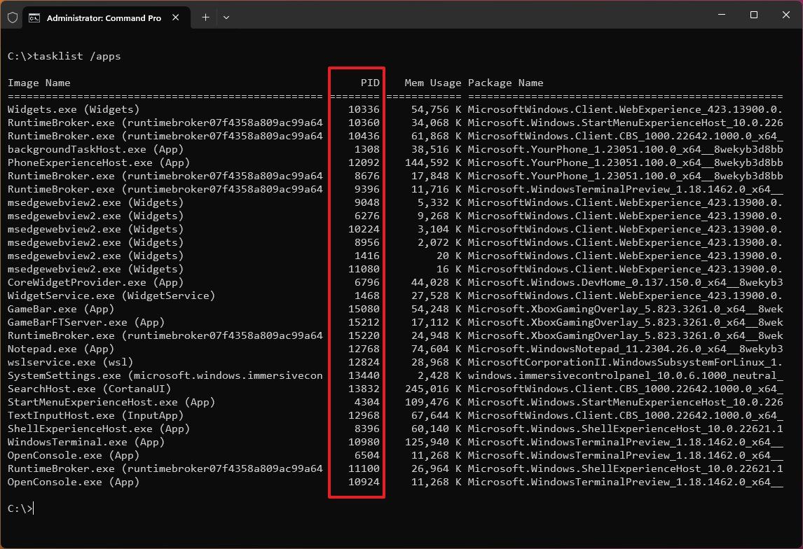 How to determine an app Process ID on Windows 11 | Windows Central