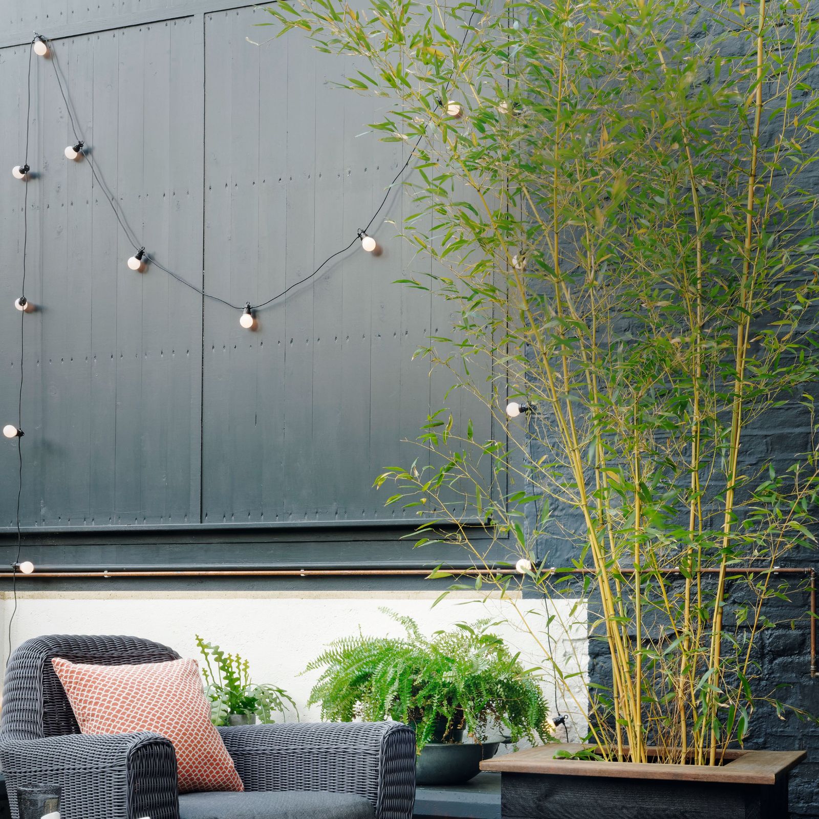 Why is my bamboo turning yellow? 6 common reasons | Ideal Home