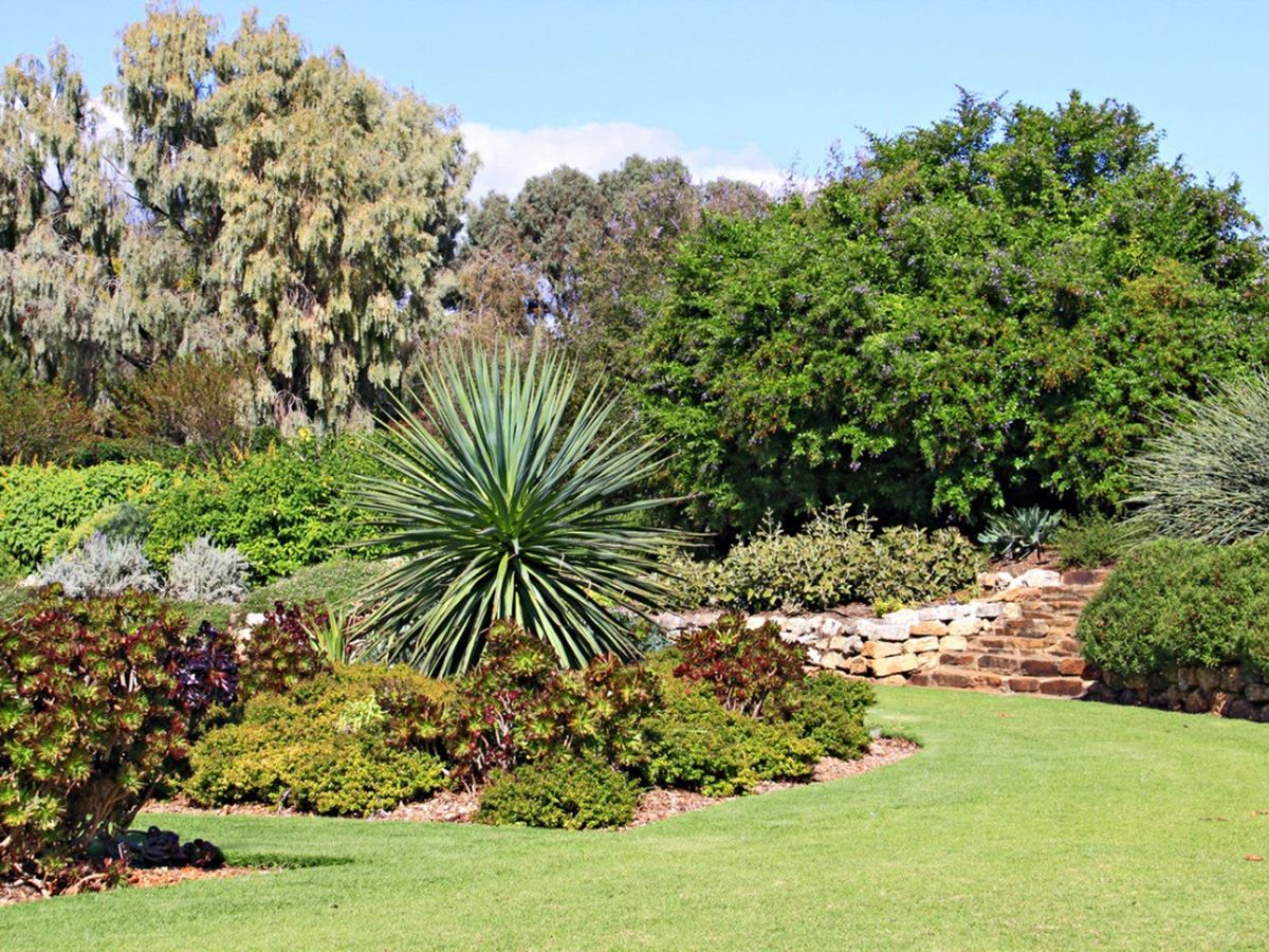 Australia Garden Design – How To Grow An Australian Garden | Gardening ...