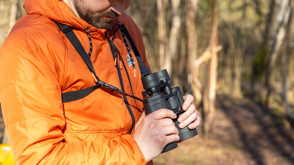 The best camera harness in 2025: carry your cameras hands-free and in ...