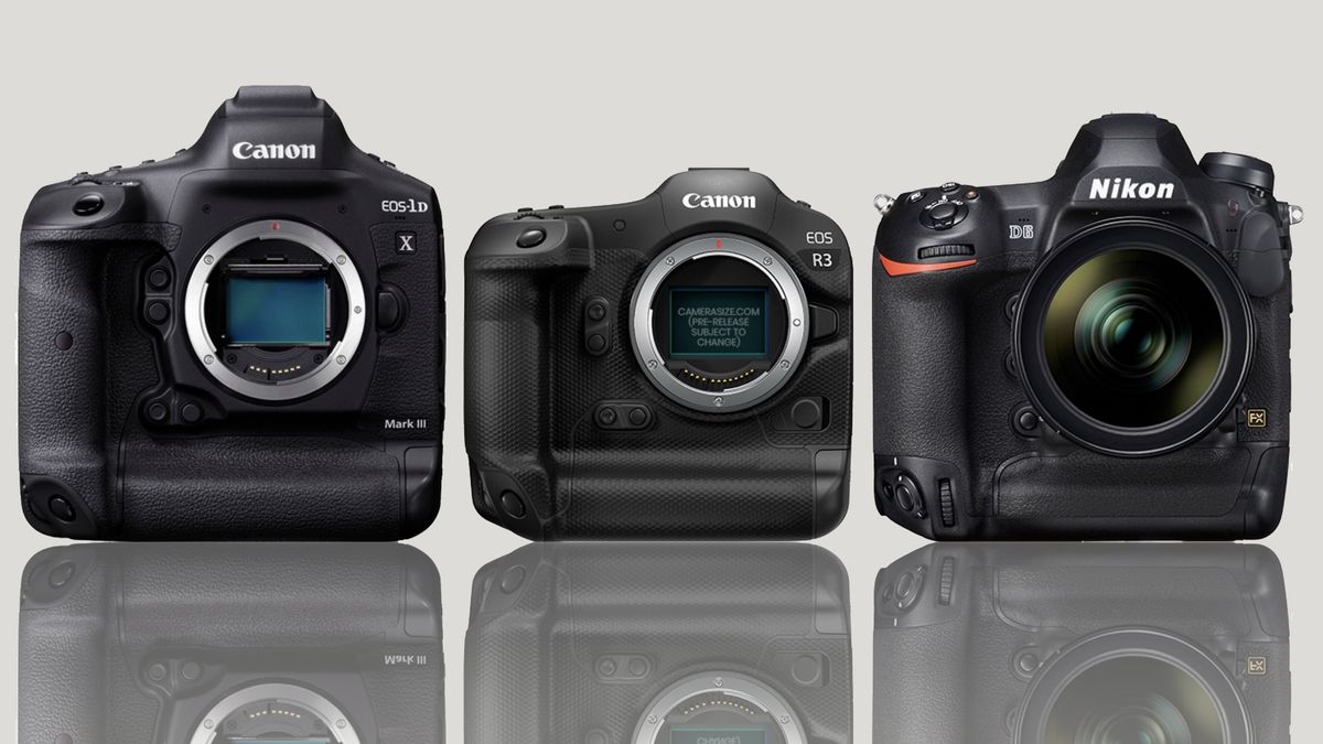 Canon EOS R3 size comparison: DWARFS the R5, smaller than Nikon and ...