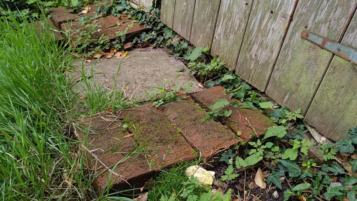 7 clever ways to reuse old bricks in your yard | Tom's Guide
