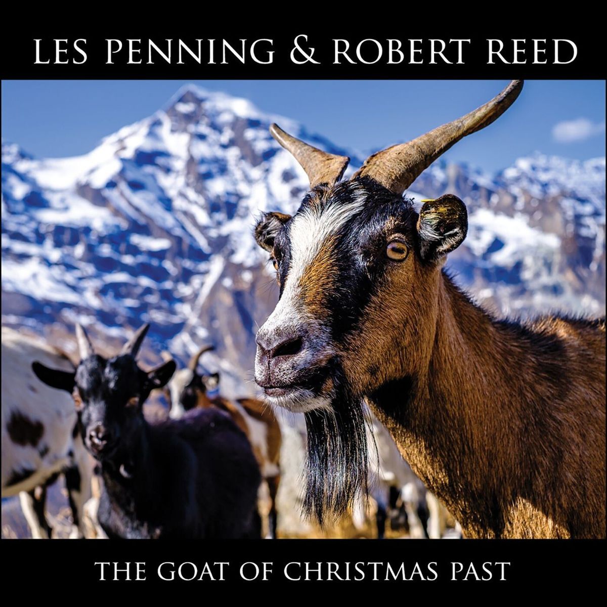Rob Reed and Les Penning release new Christmas song The Lonely Goatherd ...