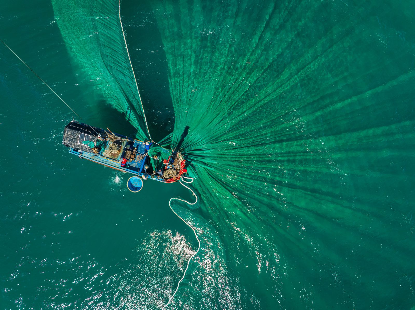 Sir David Attenborough’s record-breaking Nature documentary reveals the ...
