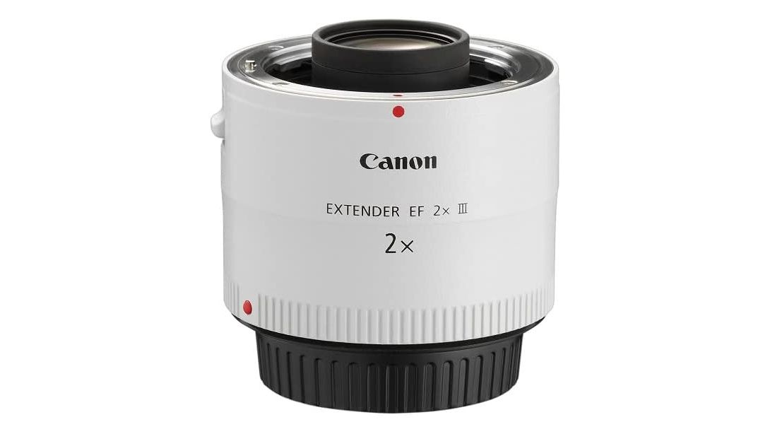 Best teleconverters in 2024: how they work, what to look for | Digital ...