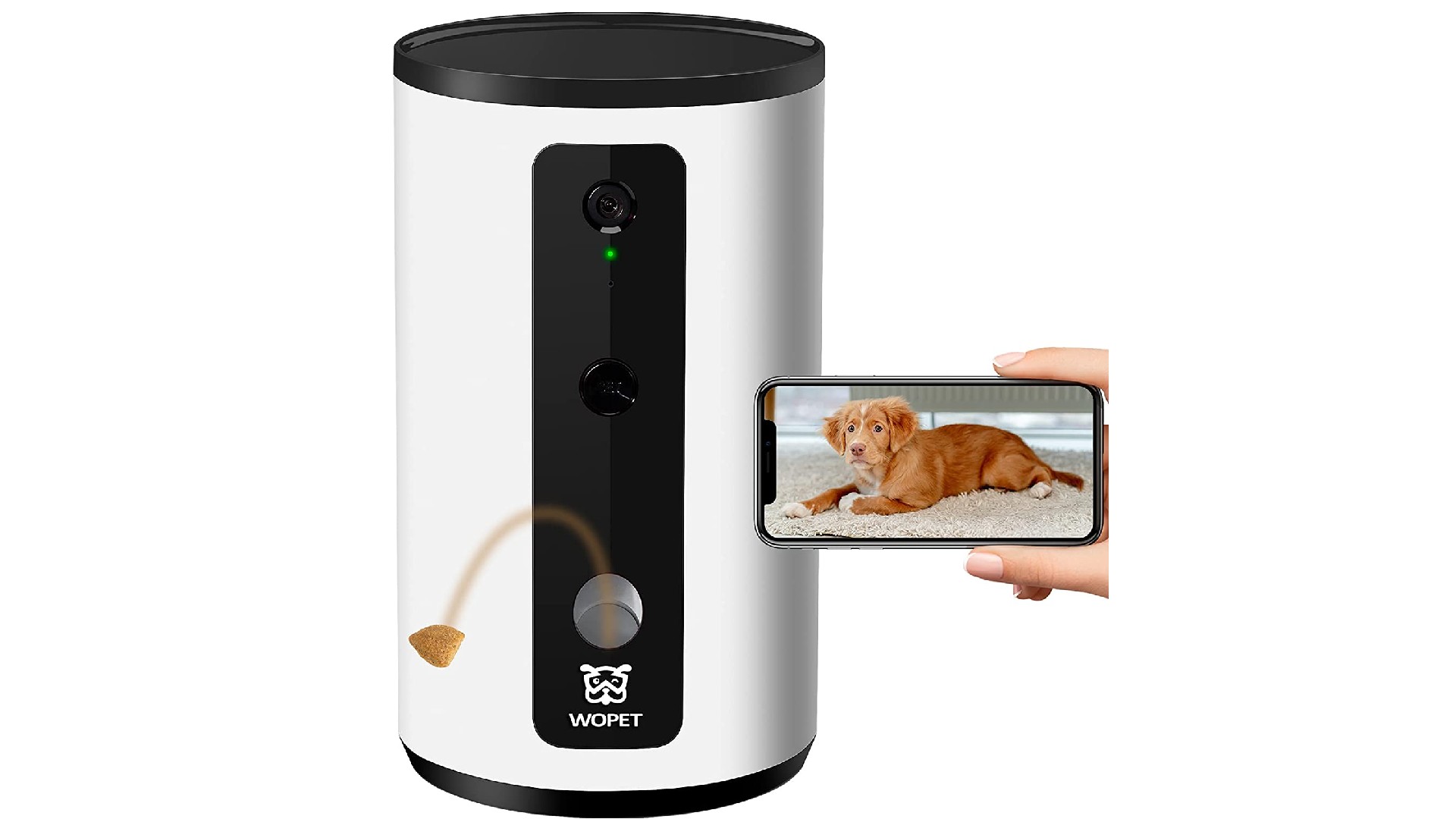 The best pet camera in 2022 | Digital Camera World