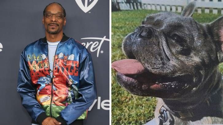 Snoop Dogg reunites with missing dog Frank after pleading for his safe ...