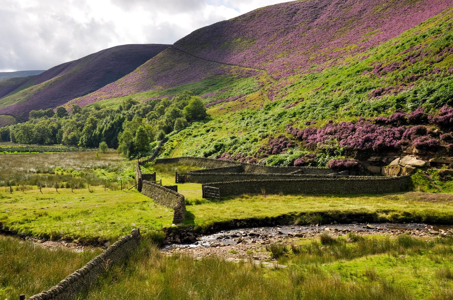 Britain’s most scenic drives: The Snake Pass, Peak District | Country Life