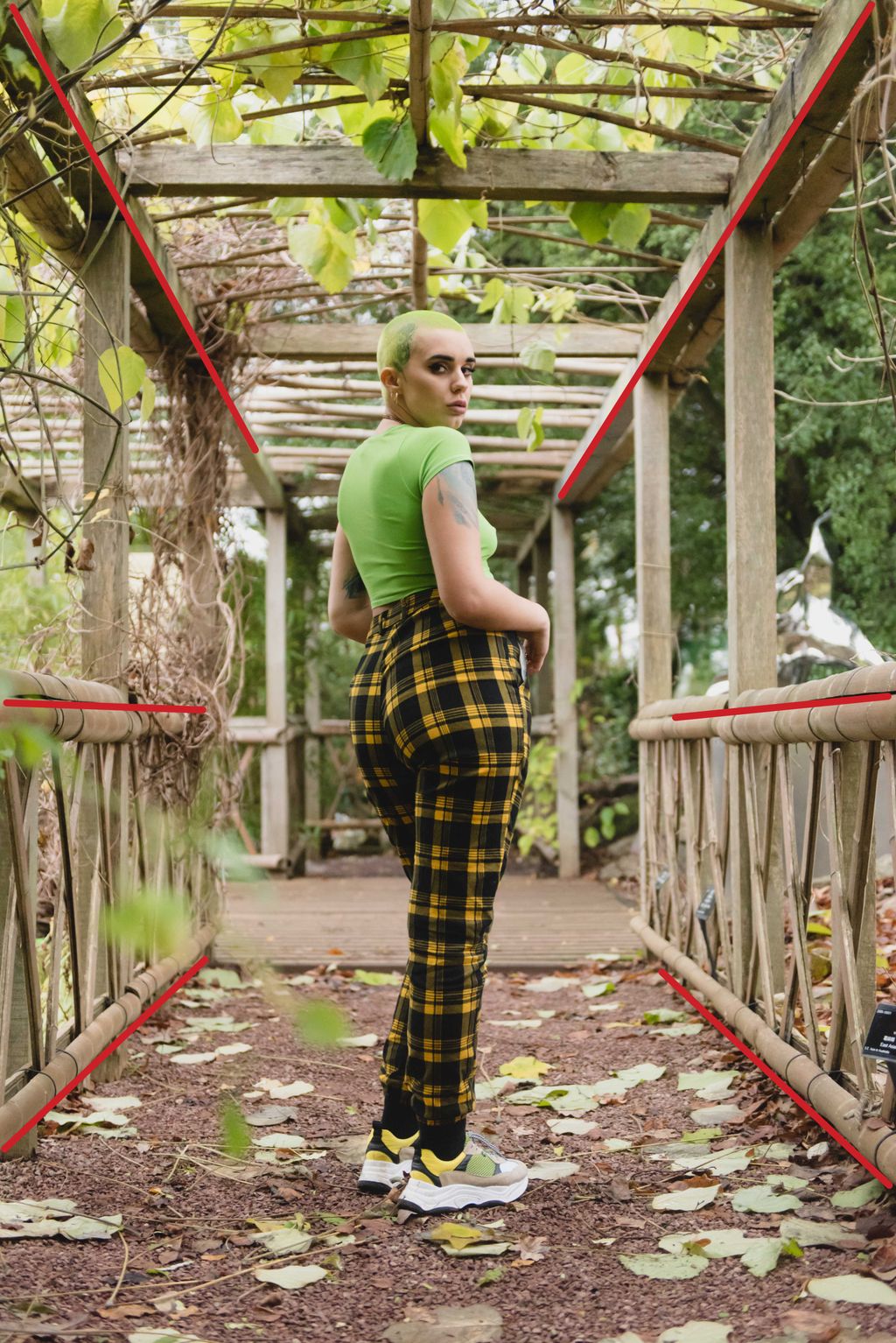 Composition in filmmaking – a guide to popular techniques | Digital ...