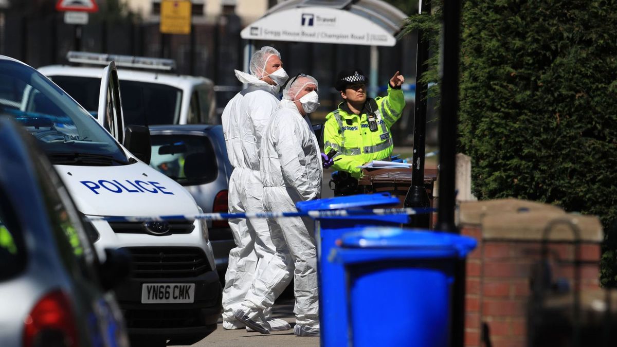 Sarah Barrass: what we know about mother charged with murdering sons ...