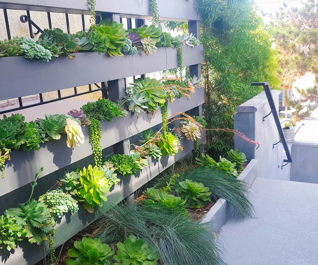 Front yard privacy ideas: 10 stylish screening methods | Homes and Gardens