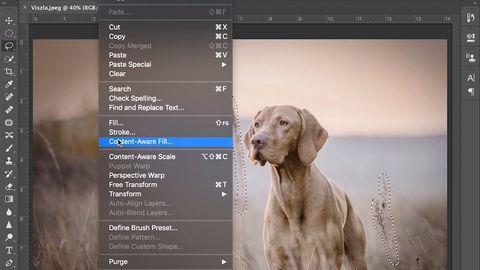 Download Photoshop: how to get a free trial with Adobe Creative Cloud ...