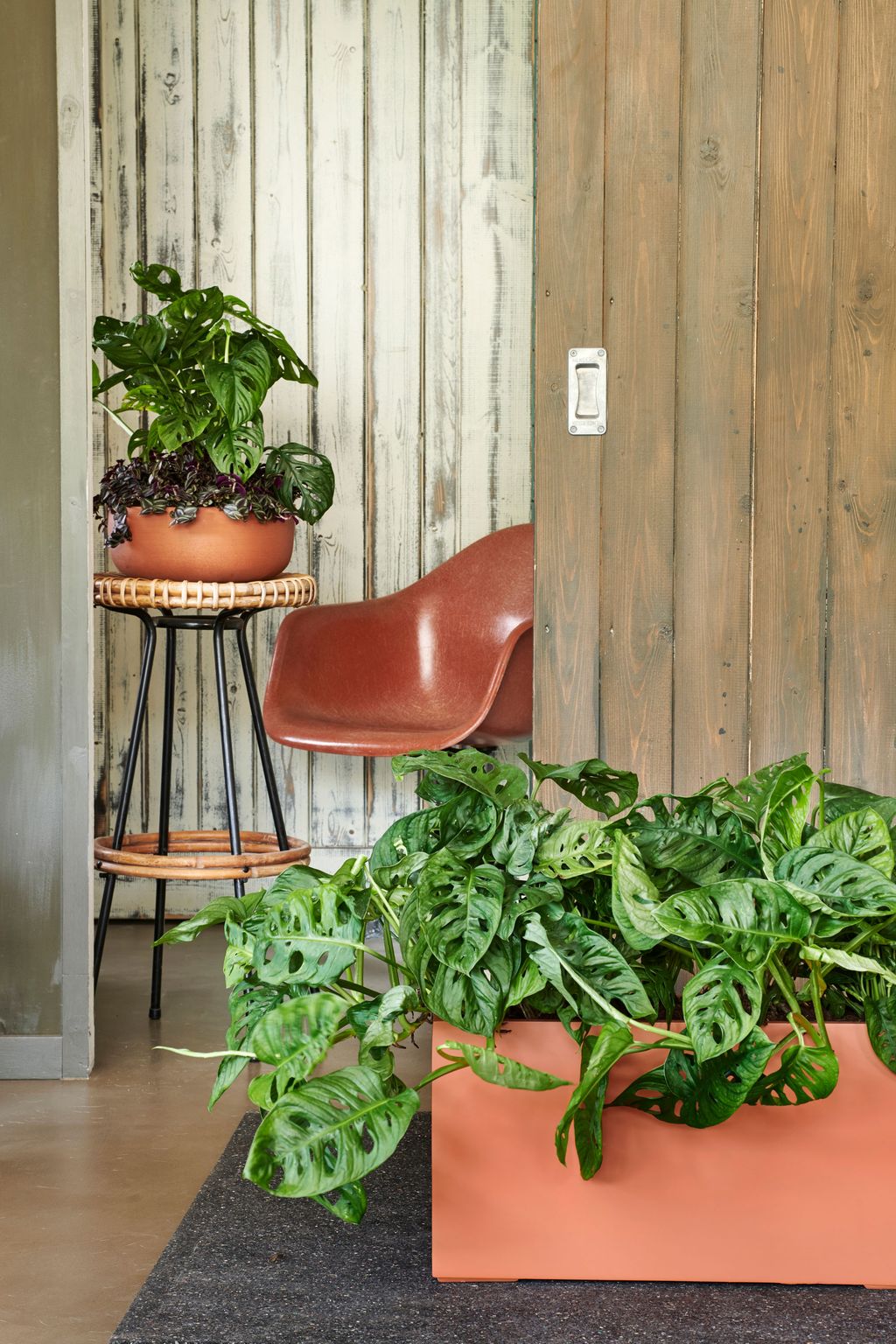 10 Monstera Ideas for Decorating With This Tropical Plant | Livingetc