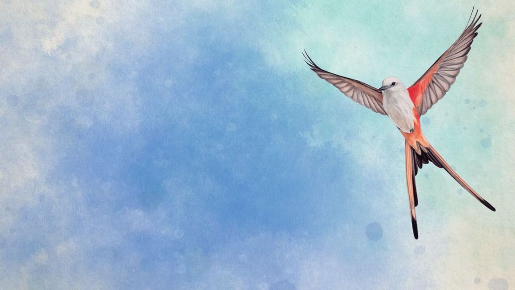 Wingspan review | PC Gamer