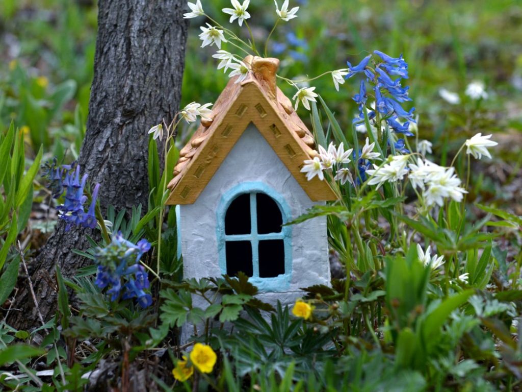 Plant Ideas For A Fairy Garden - Plants That Attract Fairies To The ...