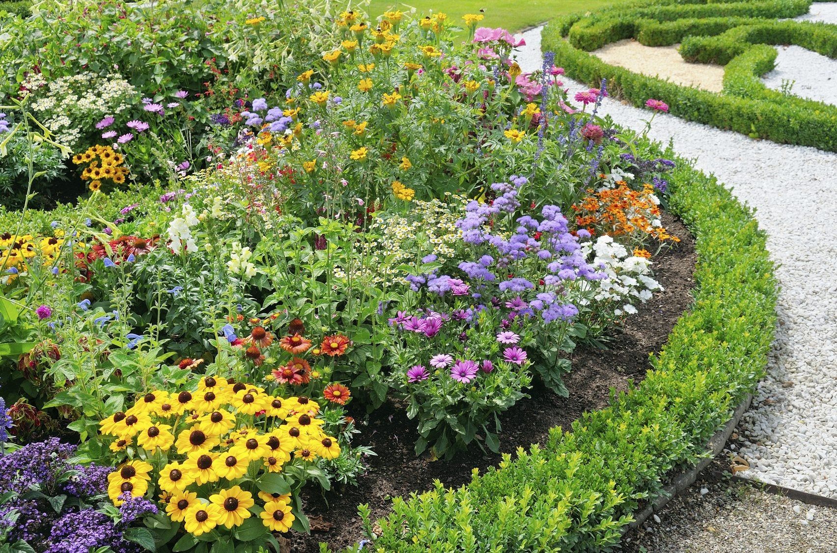 Flowers That Look Good Together - Learn About Annual And Perennial ...