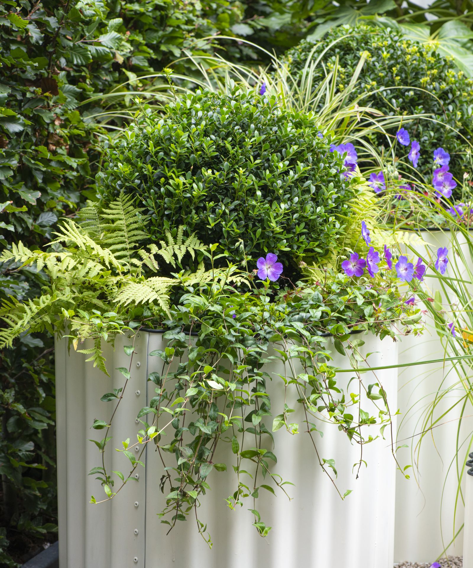 Container gardening ideas: 12 display and planting tips | Homes and Gardens