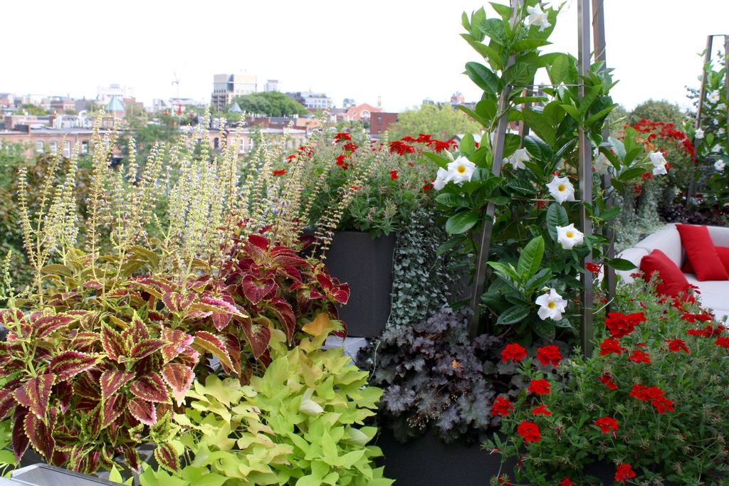 Roof garden ideas: How to design a rooftop garden | Homes and Gardens