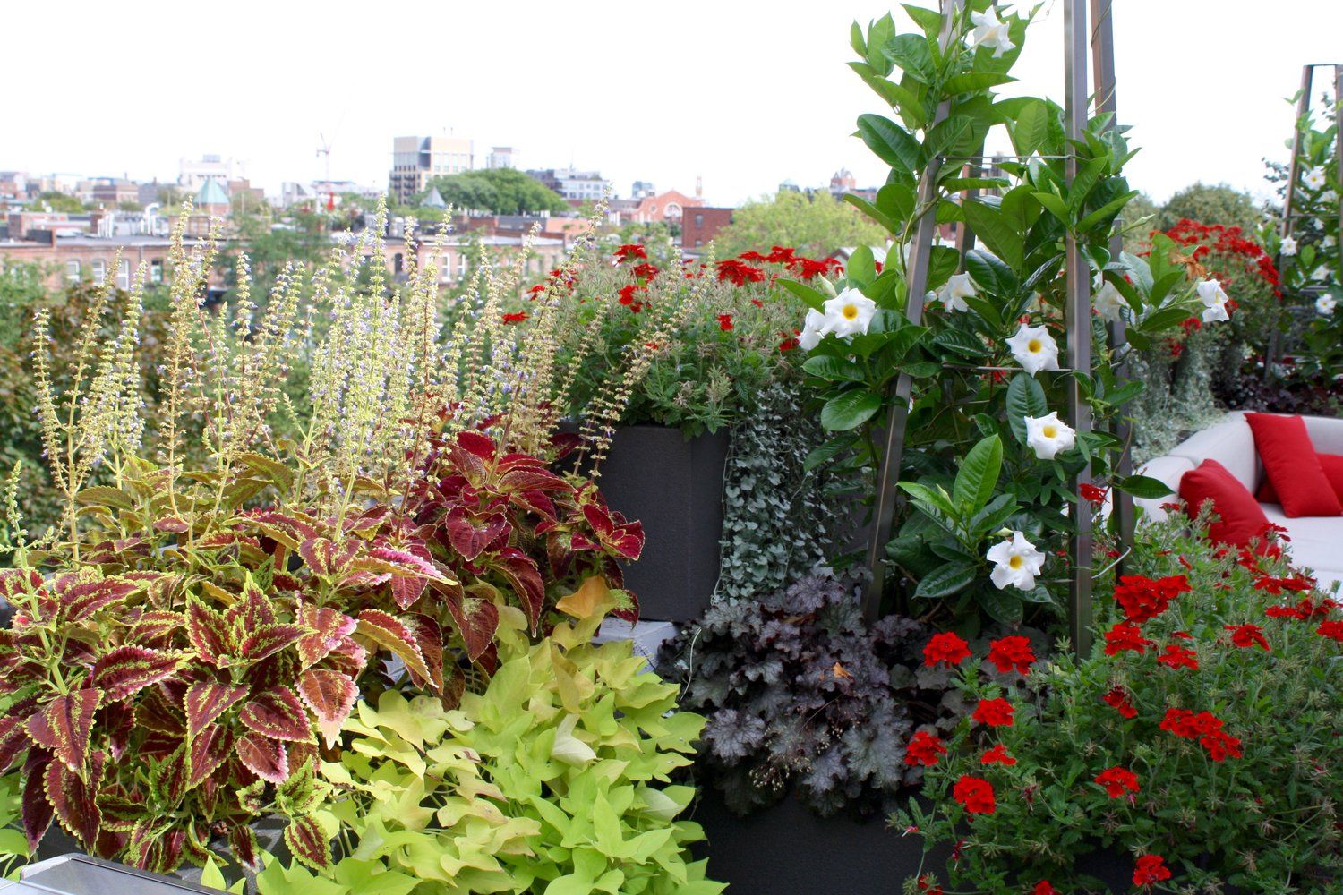 Roof garden ideas: How to design a rooftop garden | Homes and Gardens