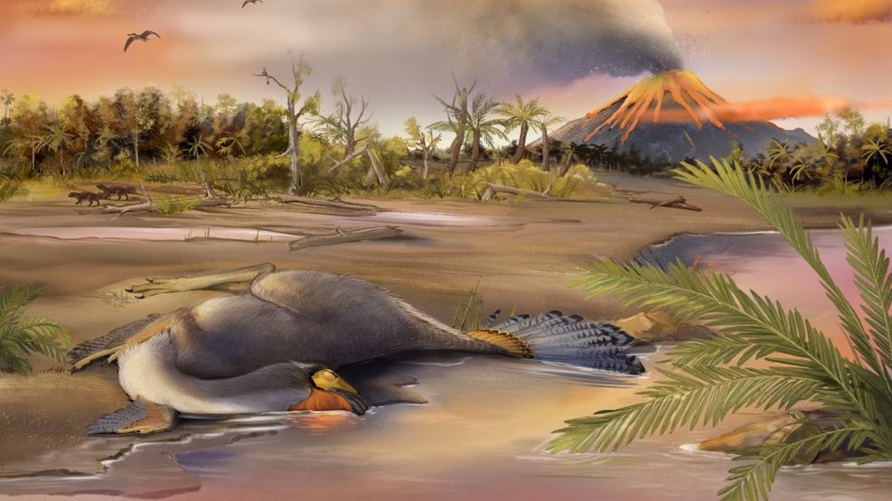 These 125 million-year-old fossils may hold dinosaur DNA | Live Science