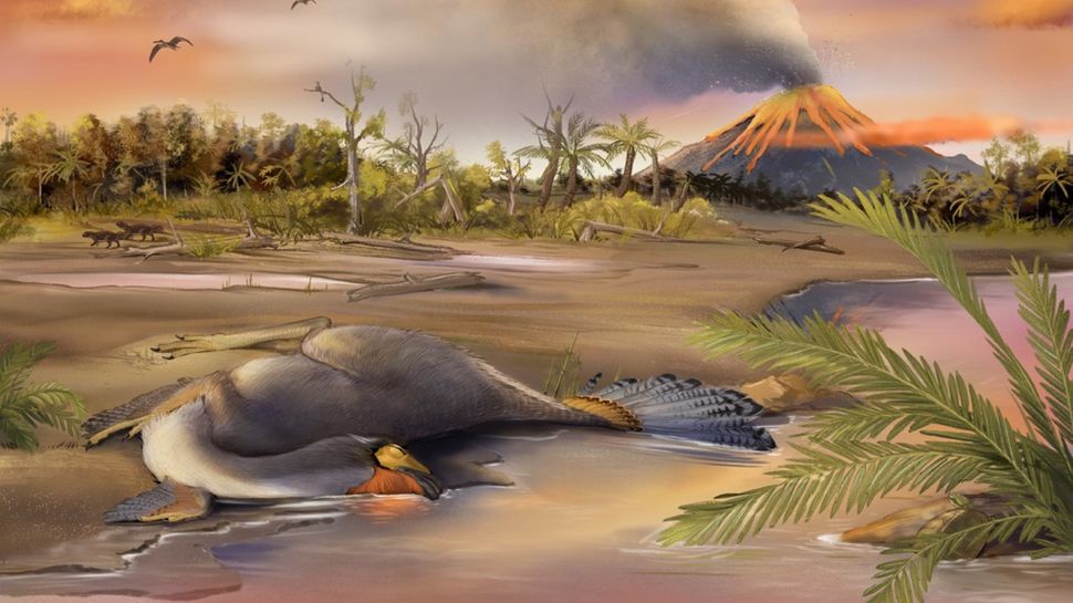 These 125 million-year-old fossils may hold dinosaur DNA | Live Science