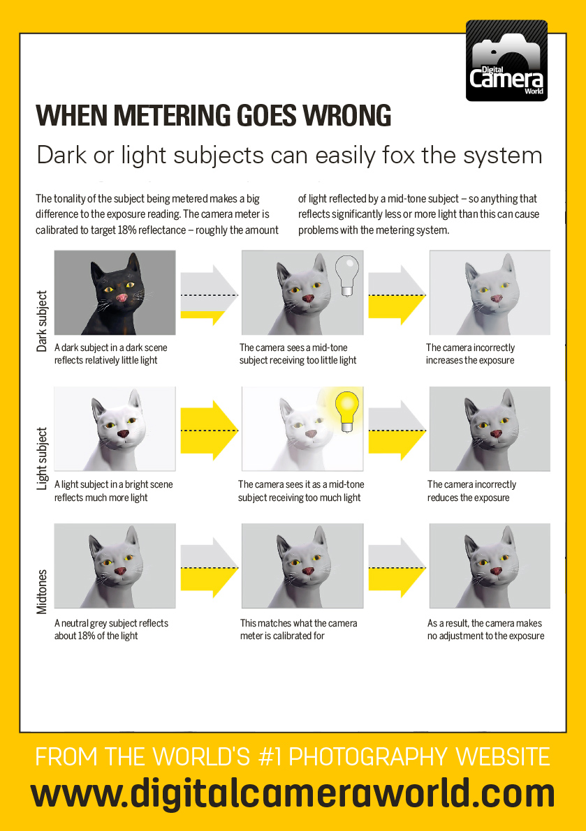Photography cheat sheet: What is Metering? | Digital Camera World