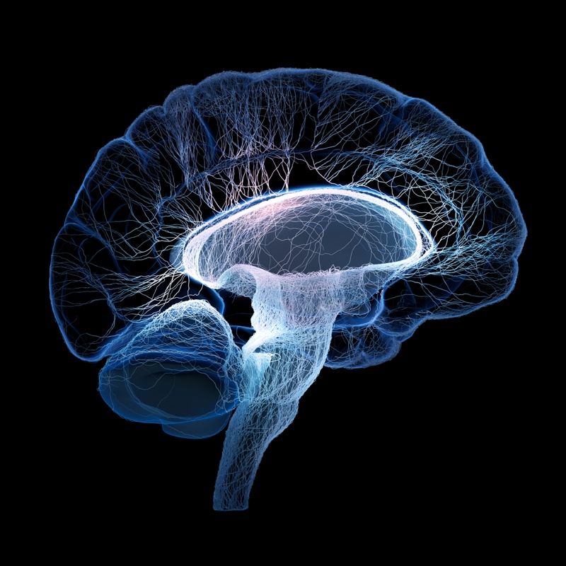 Life After Brain Death: Is the Body Still 'Alive'? | Live Science