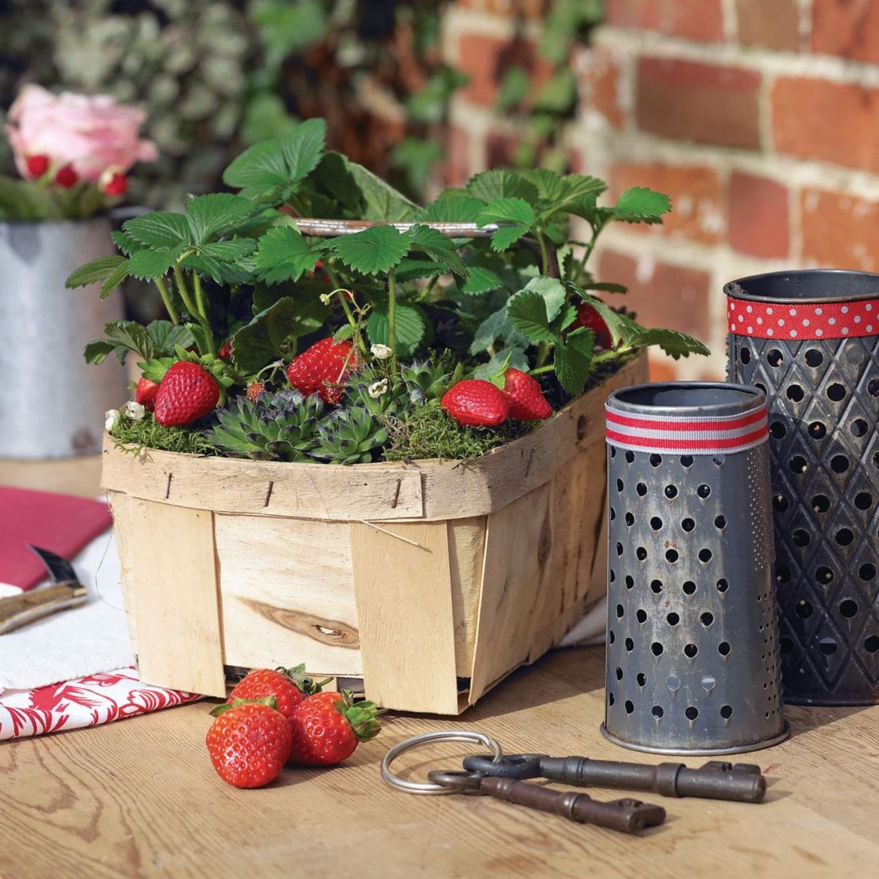 How to propagate strawberries and make new plants | Ideal Home
