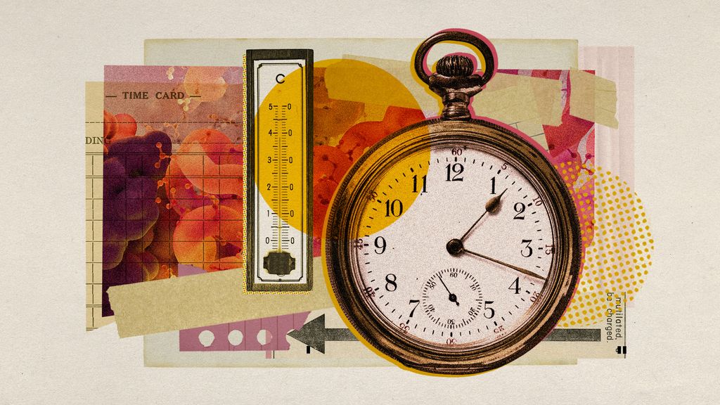 Older adults may age faster in hotter climates, says research | The Week