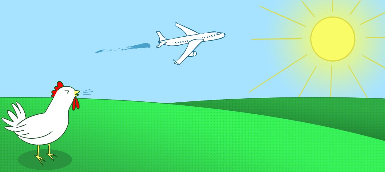 Best time to fly? Why you should only take morning flights | The Week