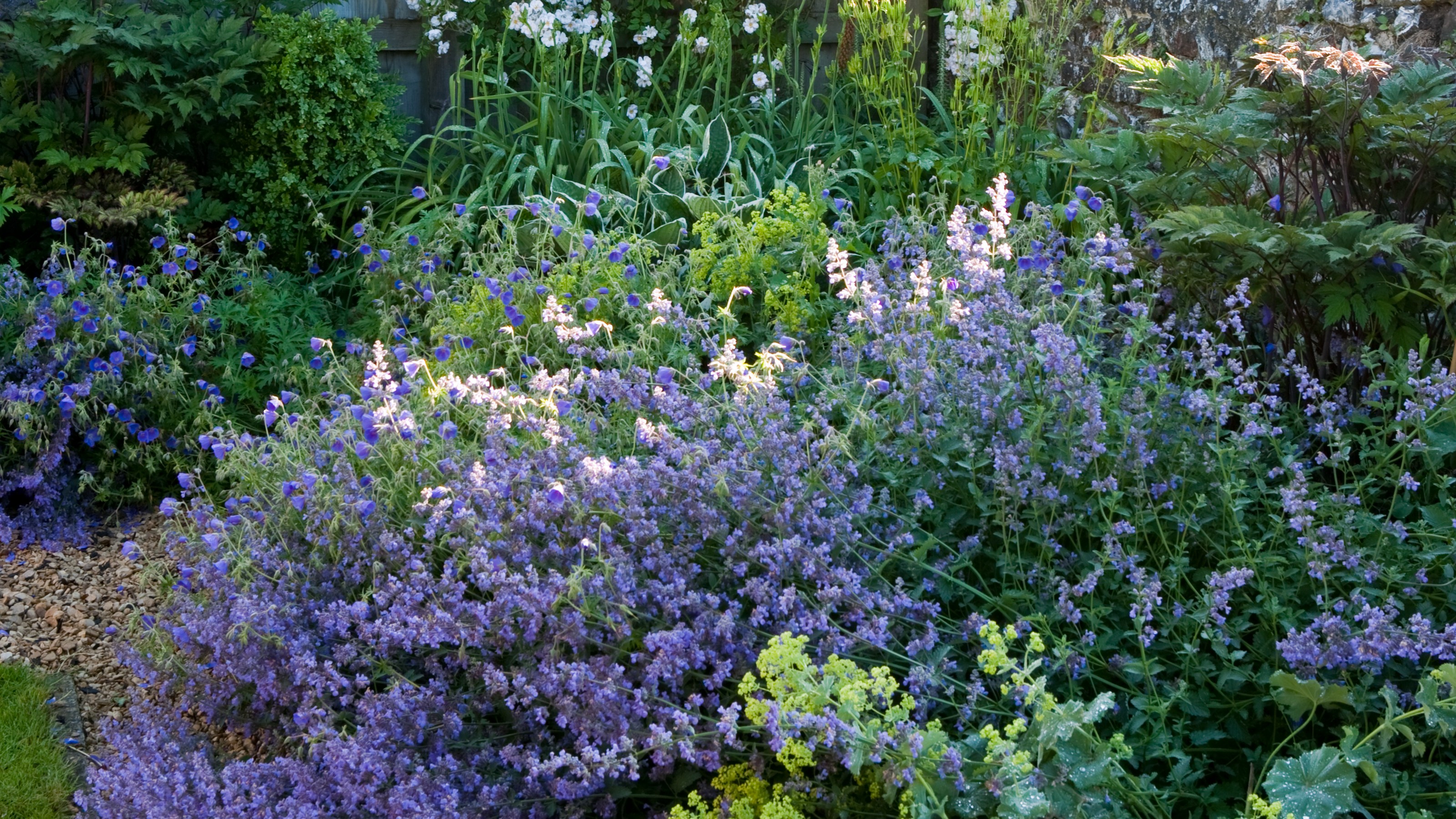 Bedding plants that slugs hate – say goodbye to these pests | Ideal Home